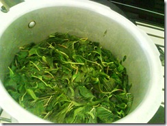 QUELITES.- RECETA COMO SE GUISAN LOS QUELITES Y QUÉ SON? | LA COCINA DE ...